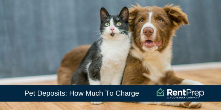 How Much To Charge For A Rental Pet Deposit - RentPrep