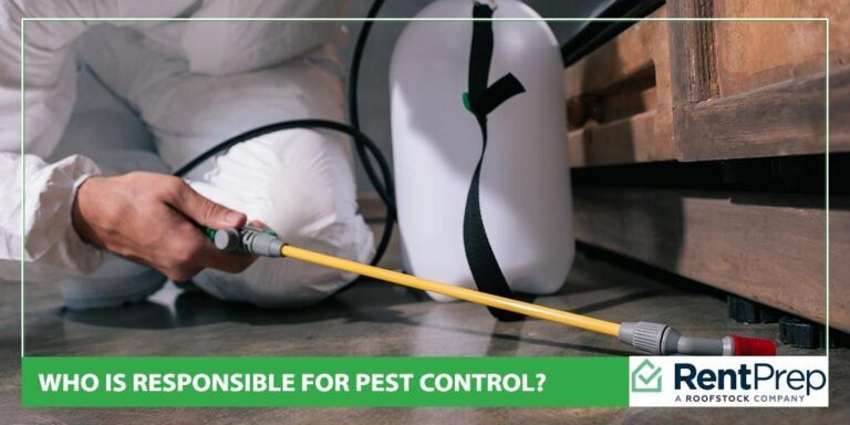 Who Is Responsible for Pest Control, Landlords or Tenants? - RentPrep